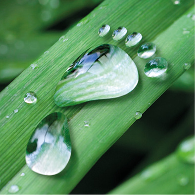 SIRIAL® A NATUR - Pulcra Chemicals