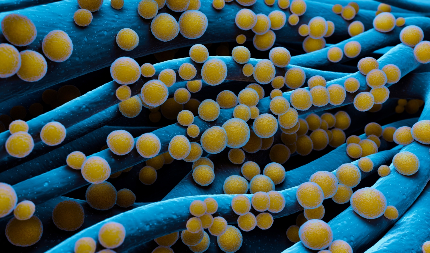 Microcapsules for odor - Pulcra Chemicals